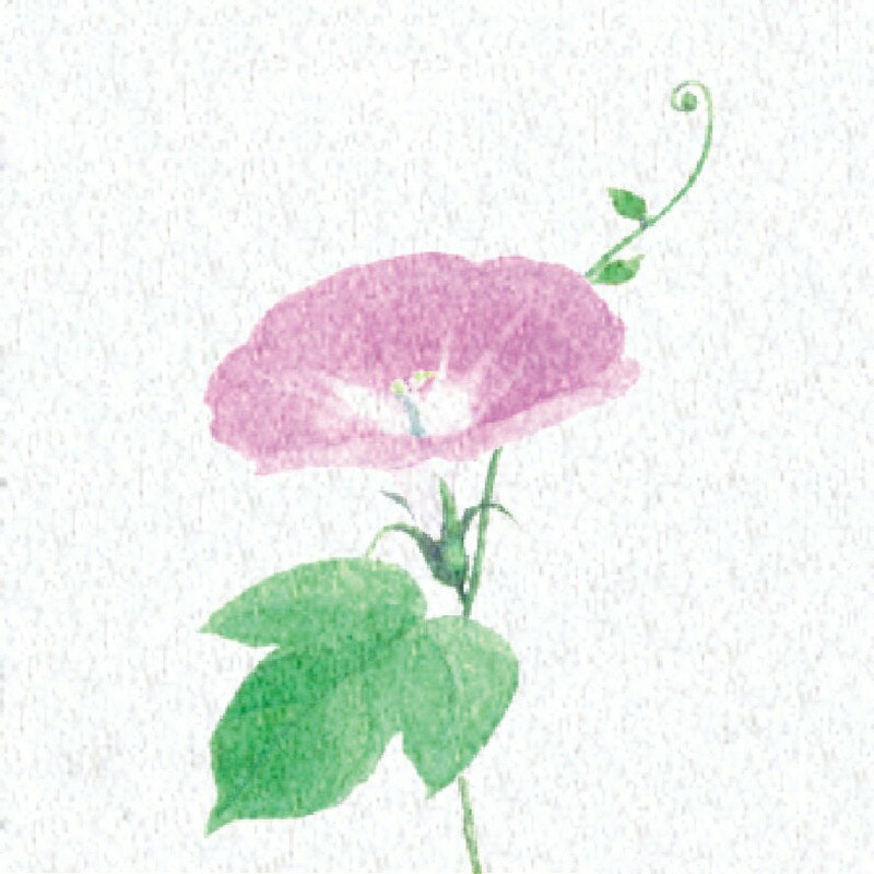 14x14cm