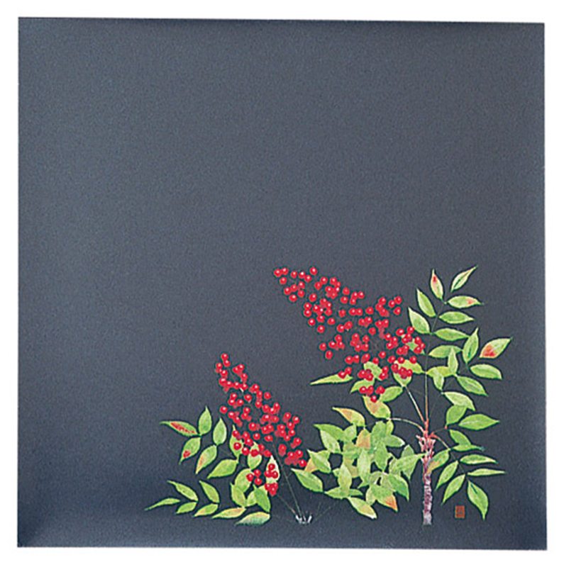 12x12cm