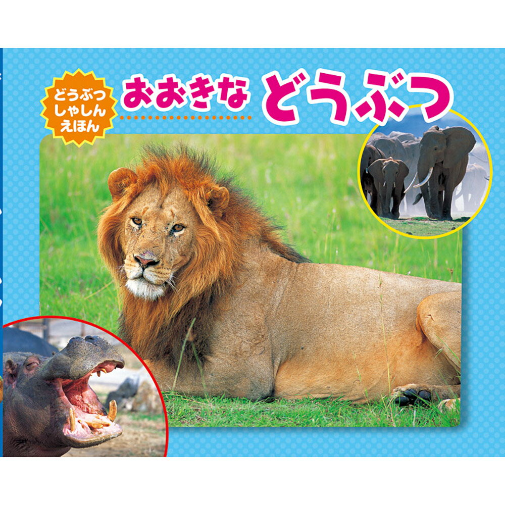 可愛い動物の写真絵本と、こどもの想像力をくすぐる楽しい人気のイラスト絵本のセットです。【対象年齢:0歳から10歳】 ※ご注文受付：2026年10月30日AM9:00まで（決済完了必須） ※お届け期間：2026年11月04日頃まで ■配送不可...