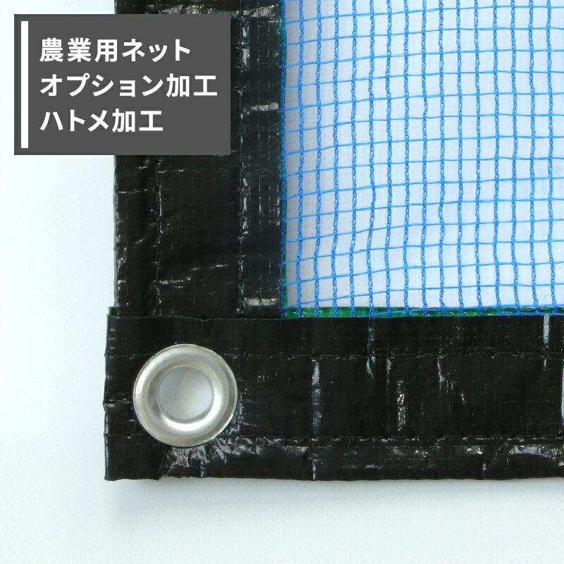 標準仕様 ■周囲補強 カラー：ブラック ■ハトメ アルミハトメ　上部1mピッチ 仕様の変更について ■周囲補強 ブルー・緑（文字入り）・ターポリン（白）に変更可。 ※ターポリン（白）は別途追加費用が発生致します。 ■ハトメ ピッチ間隔変更可...