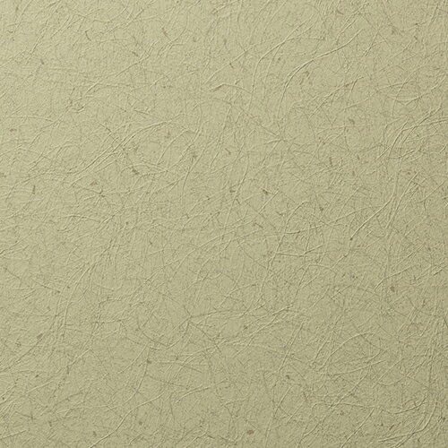 ※この壁紙は10M巻での販売となっておりますが、メーター数の変更は可能となっております。必要数によって金額の変更を行いますので、ご購入時に備考欄へご記入くださいませ。リピート縦46.2cm 横46.3cm有効幅92.5cm機能防かび・消臭シ...