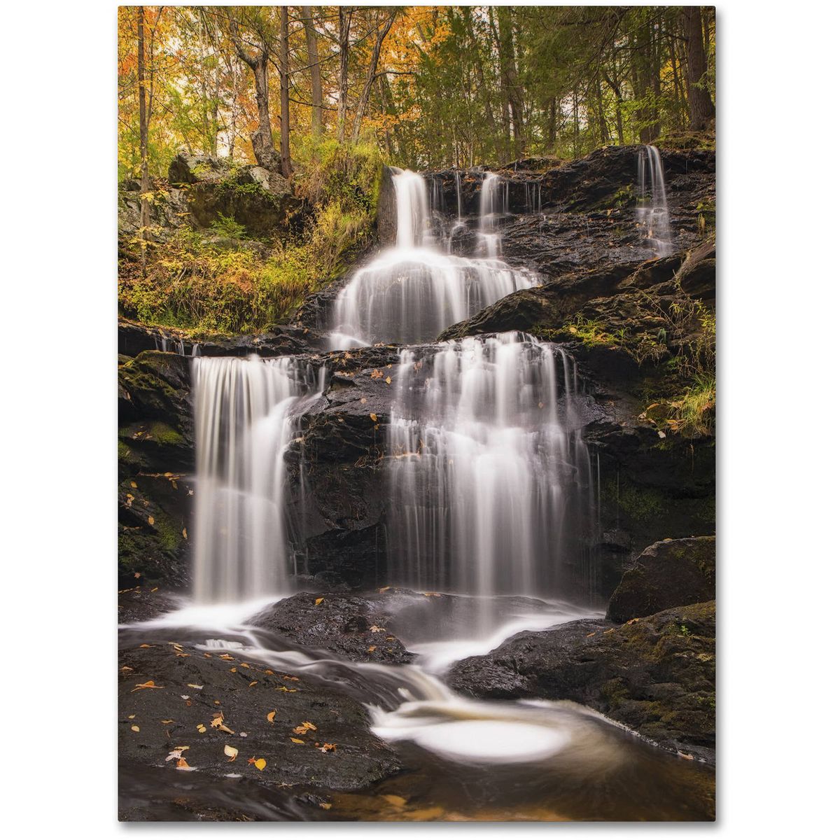 | Trademark Fine Art マイケル・ブランシェット・フォトグラフィーによる「Autumn Horsetails」キャンバスアート。アーティストMichael Blanchette Photography テーマ： 風景風景画...