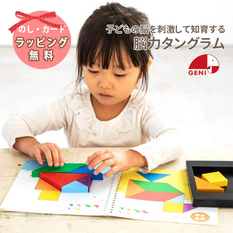 立体パズル / エドインター 知の贈り物シリーズ ピースをひねって　頭をひねって脳を活性化！ テキストブックには、お子様が楽しく取り組める易しいレベルから、大人でも難しいレベルまで多彩な問題を101問掲載しています。 ひとつのイラストを何通...