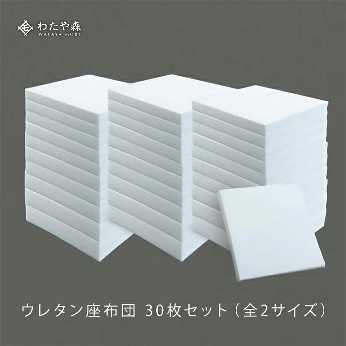 商品詳細 サイズ ・45cm角用：40×40×5cm ・50cm角用：45×45×5cm 素材 ポリウレタン 80ニュートン お手入れ ・汚れた場合は水洗いが可能です。 ・ウレタンの変色を防ぐため、風通しの良い日陰でほしてください。