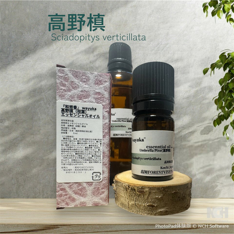 高知嶺北産 100%天然 高野槙精油 高野槙 コウヤマキessentialoil 5ml。 学名 Sciadopitys verticillata 英名 Japanese umbrella-pine 日本の固有種 注目され始めた人気の香りで...