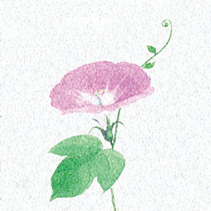 -------------------------------------------------------------- 画像はイメージです。 ※ PC環境により実際の色味や質感と異なって表示される場合がございます。 ※ 部品・パーツな...