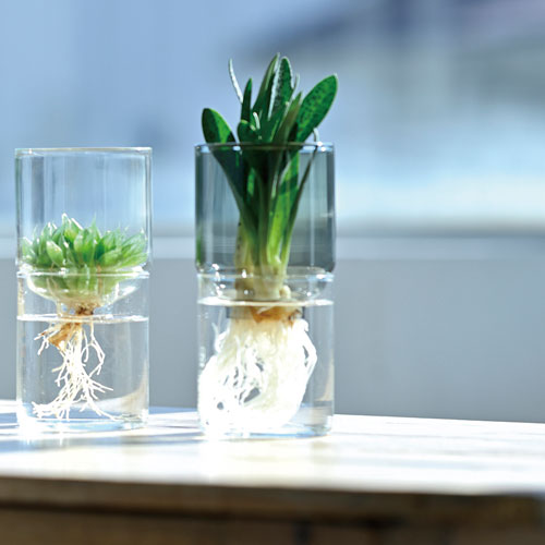 -------------------------------------------------------------- 画像はイメージです。 ※ PC環境により実際の色味や質感と異なって表示される場合がございます。 ※ 部品・パーツな...