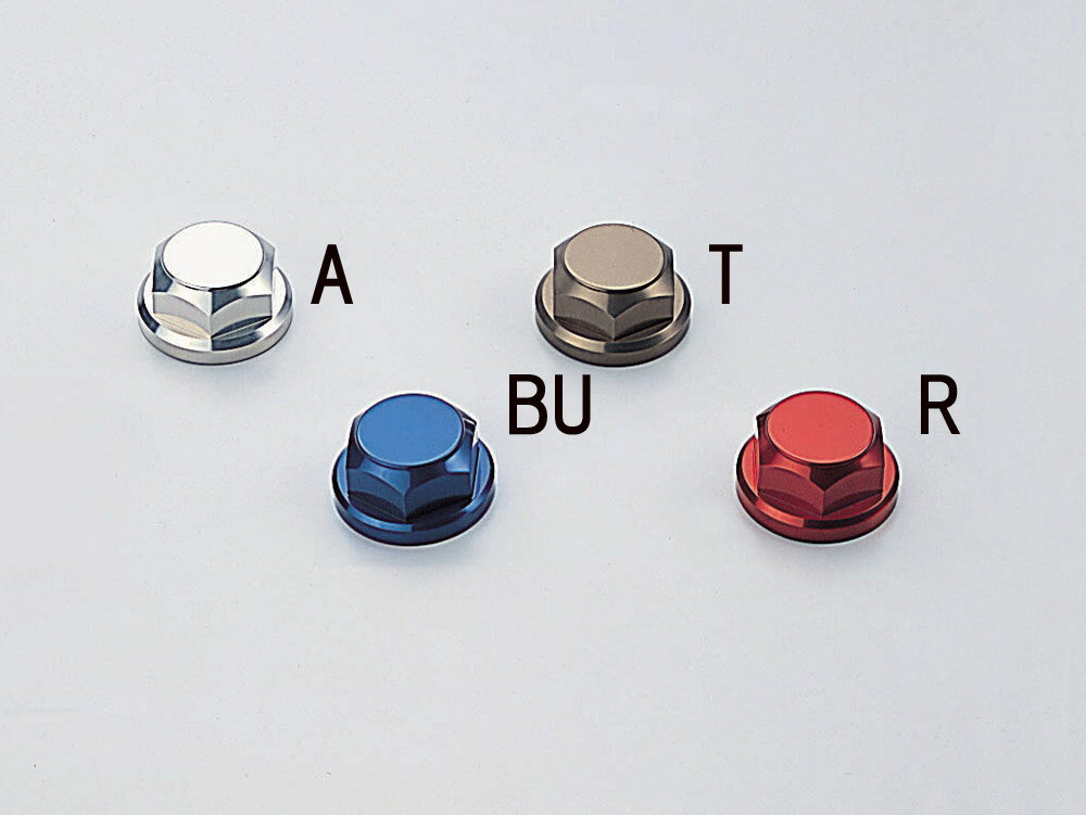 ■商品概要カラー：レッドアルマイトジュラルミン削り出しP1.0色落防止クリヤ仕上ネジ24mm■注意点※画像には他のカラーリング／他のタイプが含まれている場合があります。■適合車種CB-1&ensp;CB-1 年式: 89- 型式: NC27...