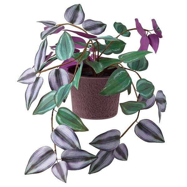 SMATARNA スモテルナ 人工観葉植物 - 紙/ムラサキツユクサ 10 cm. 屋内使用推奨 浴室など湿度の高い場所での使用には適していません 紙製の植物を直射日光の当たる窓辺に置くと、時間が経つにつれ色あせが生じる場合があります。 こ...