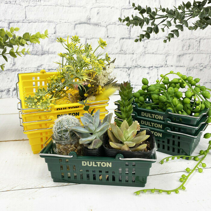 商品詳細商品説明 小さい物ってどうしてこう愛らしく思えるのだろう、という疑問が湧く位、可愛らしいミニサイズのバスケット。 人気アイテムMICROBASKETより一回り大きいサイズが登場です。小さいながらもスタッキング出来る本格設計。 選べる...