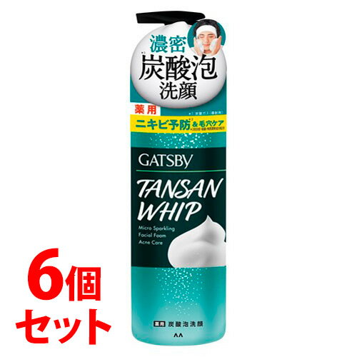 リニューアルに伴いパッケージ・内容等予告なく変更する場合がございます。予めご了承ください。 名　称 《セット販売》　ギャツビー　マイクロスパークリング泡洗顔　アクネケア 内容量 200g×6個 特　徴 毛穴ケアとニキビ予防の薬用炭酸（噴射剤...