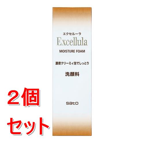 リニューアルに伴いパッケージ・内容等予告なく変更する場合がございます。予めご了承ください。 &nbsp; 商品名称 エクセルーラ　モイスチュアフォーム　120g 内容量 120g&times;2 特徴 ◆しっとり洗い、毛穴の奥もすっきりクリ...