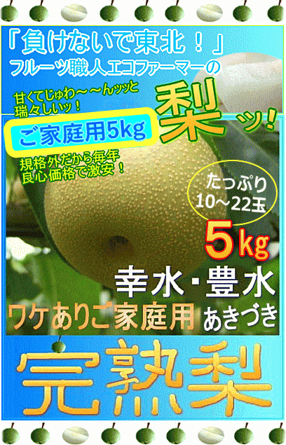 多少スレ・キズ・変形・お顔ブーあり! ご家庭用ワケありエコ完熟梨（幸水または豊水またはあきづき）10〜22個入規格外品です。 約5kg詰め＝￥5,200（税込・送料込） エコファーマーの甘〜い朝もぎ完熟梨を、超特価でご提供！ 【ご注意】大変...
