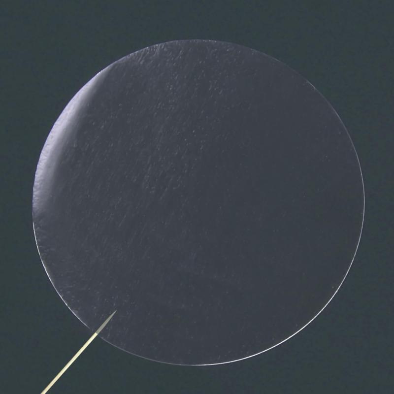 未開封シール 封印シール 1000枚 透明 丸 クリア 円 (透明, 25mm)【未開封シール - サイズ】小さな15mmチから大きな30mmまでのサイズに対応した未開封シールをご用意しておりますので、お好みのサイズをご選択いただけます。【...