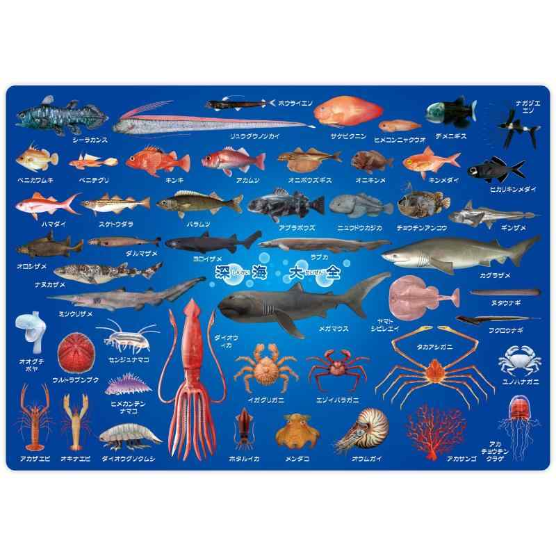 ザ・アクセス 下敷き 深海 大全 水族館 A4サイズ(約):H210×W297mm生産国:日本