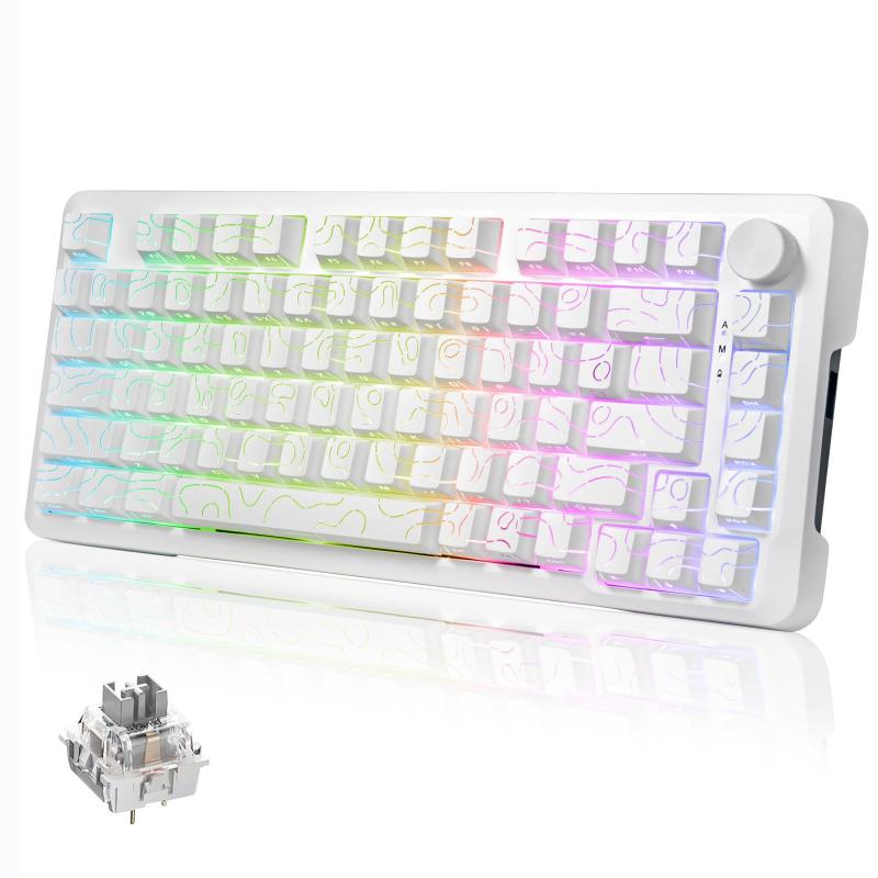 e元素ゲーミングキーボード82キー 銀軸 75%ワイヤレス メカニカルキーボード Bluetooth&amp;2.4G無線&amp;USB有線接続 ホットスワップ RGBバックライト付き iOS/Android/Mac/Windows対応の...