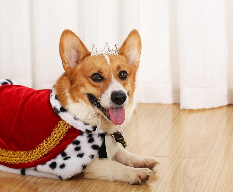 Lovelyshop ペットシリーズ ゴールドメッキ シルバーメッキ ロイヤル ラインストーン パール 円形 猫犬用ティアラ ペットのファッション ヘアアクセサリーとして使用可能-ゴールドMこちらのキラキラと輝くティアラは、愛するペットが王...