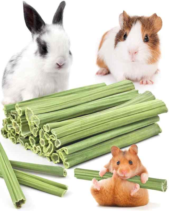 うさぎ ハムスター 嚙むおもちゃ 天然のパパイヤの葉の茎 歯磨き 噛む棒 噛むおもちゃ チンチラ モルモット ハムスター リス ウサギ 小動物 おやつペット用品20g【安全な素材】このおもちゃは天然のパパイヤの茎で作られており、添加物、着色...