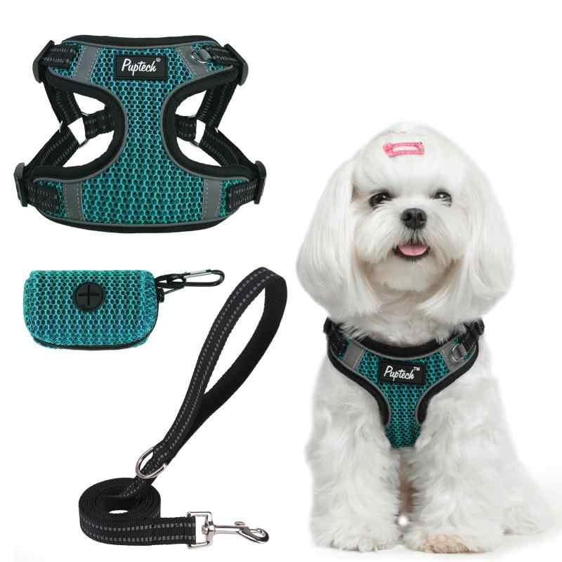 PUPTECK 犬 ハーネス リード セット 抜けない 胴輪 調整可能 メッシュ 通気性 ソフト 柔らかい 軽量 快適 着脱簡単 反射材付き 喉に優しい 引っ張り防止 耐久性 散歩 安全 老犬介護 しつけ 可愛【サイズ】：「XSサイズ：胸周...