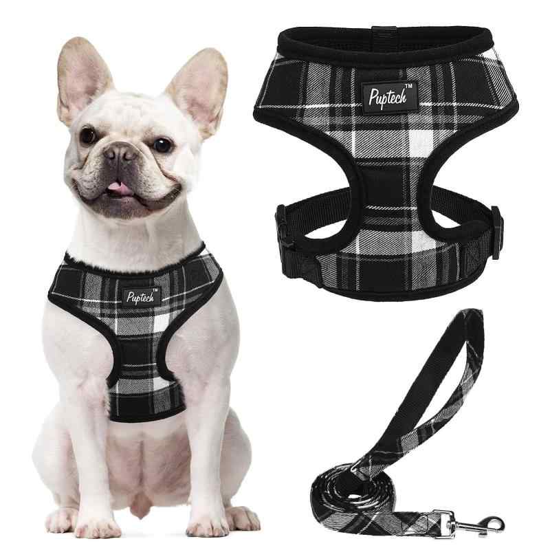 PUPTECK 犬 ハーネス リード セット 犬用 胴輪 はーねす 調節可能 着脱簡単 軽量 メッシュ 通気性 快適 ソフト 反射材付き 引っ張り防止 抜けない 喉に優しい 耐久性 散歩 安全 しつけ用 老犬介🐶【サイズ】：...
