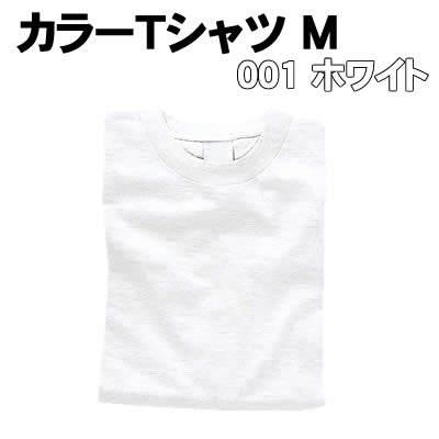 アーテック カラーTシャツ M 001 ホワイト(038718) 運動会 発表会 イベント シャツ 衣料 クラスやチームで！ カラーTシャツ全9色あります。 ■仕様 ■商品サイズ：身丈700mm、身巾520mm、袖丈200mm■材質：綿10...