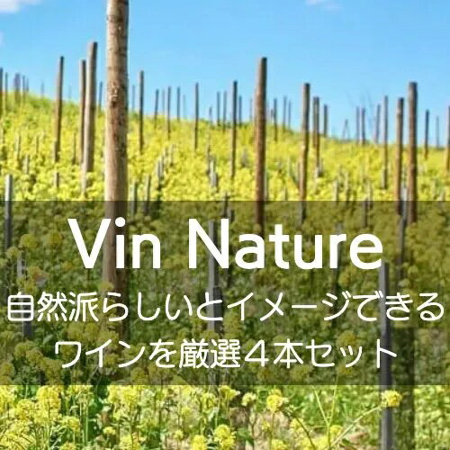 いかにも自然派らしいとイメージできるワインを厳選！【ワインセット】 自然派ワインが明確に分かるスタイルのワインを厳選！ セット内容：4本（白2本/赤2本） code:set0142 【1】ゴギタ・マカリゼ / アラダストゥリ・ロゼ [202...