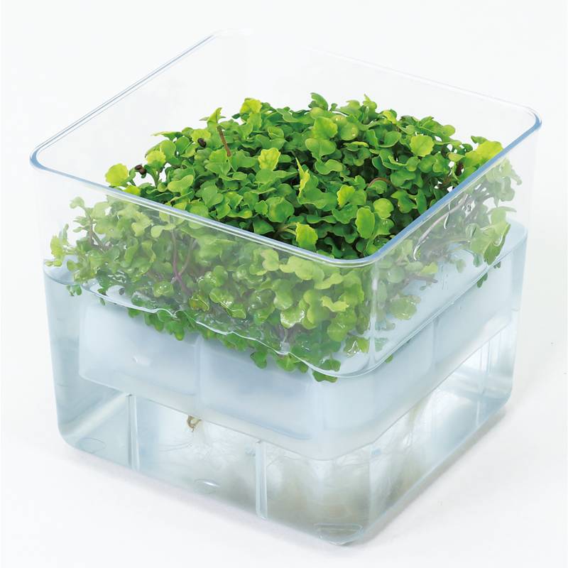 商品の説明 ⇒ 他のクラフト工作用品を見る 商品説明：観察しやすい！学びが広がる水耕栽培キット！水耕栽培とスプラウト育成のどちらにも使えるマルチユニットです。水位に合わせてフロートが上下する構造のため、根が常に水に触れやすい状態を保ち、日々...