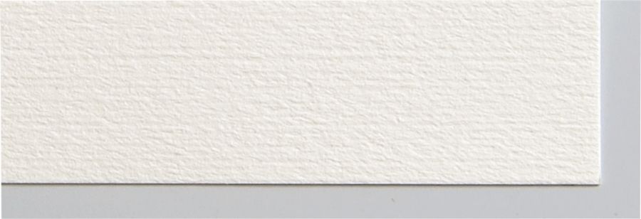 商品の説明 ⇒ 他のクラフト工作用品を見る 商品説明：パルプの生地そのままのスッキリとした白色度（無蛍光）と理想的な毛布による肌合いとのマッチングにより、高度な美術表現が可能です。210#No.500本格水彩紙100枚商品サイズ：392×2...