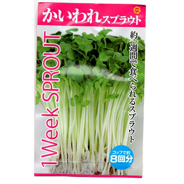※こちらは種子になります※在庫不足の場合メーカーより取り寄せになります。※メーカー欠品の場合、勝手ながらご注文をキャンセルまたは数量を変更させていただきます。芽をだして間もない、ラディッシュの貝割れ菜で、子葉と胚軸の部分です。抗酸化作用や抗...