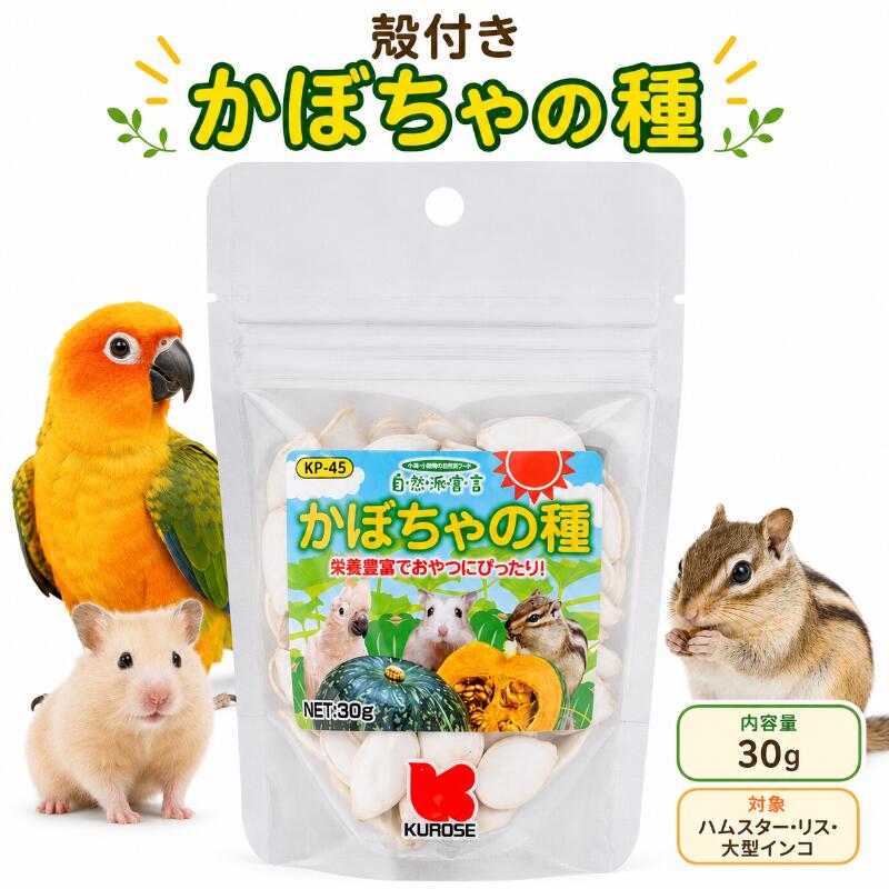 黒瀬ペットフード 自然派 殻付きかぼちゃの種 30g ハムスター リス 大型インコ おやつ 殻付きなので、かじってストレス解消！ たんぱく質、脂質、ビタミンB群、鉄分を豊富に含んでおります。 主食に混ぜるか、おやつとして与えて下さい。 商品...