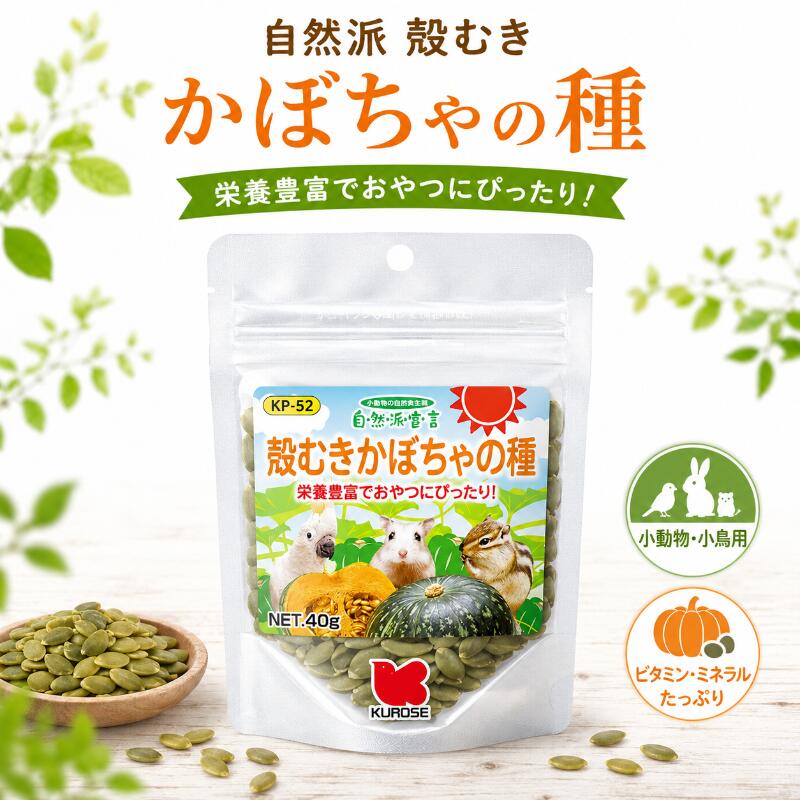 黒瀬ペットフード 自然派 殻むきかぼちゃの種 40g ハムスター リス 大型インコ おやつ かぼちゃの種はたんぱく質、脂質、ビタミンB群、鉄分を豊富に含んでいます。 殻をむいていますので、食べやすく、そのままお与え頂けます。 リス、ハムスタ...