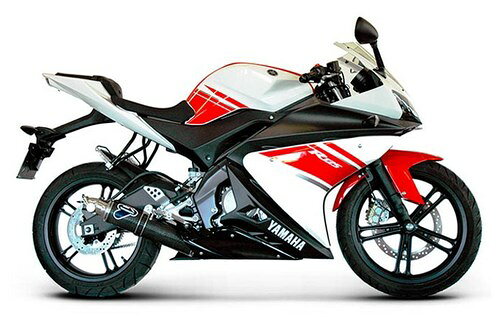 YAMAHAYZF-R 125 (2008-2013)製造元： テルミニョーニ・イタリア部品の種類：純正オリジナル部品テルミニョーニ純正メーカーコード：y088094crテルミニョーニ 商品コード ：y088094cr記事番号：Y08809...