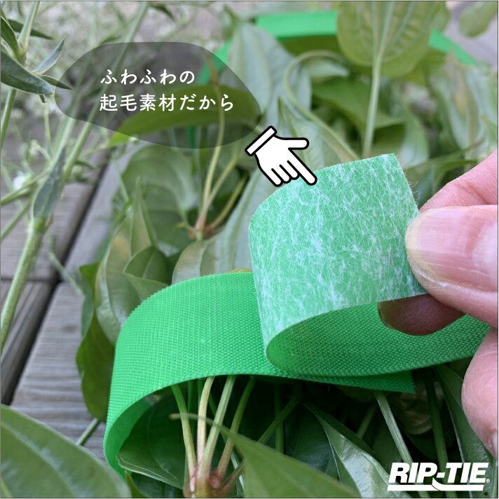 商品名 RIP-TIE リップラップ幅25mm スタッフのおすすめポイント 幅25.4mmのリップラップ ふんわりくっつくリップラップの25mmタイプは、 タイルカーペットなどの位置決めなどに便利です。 25回以上繰り返し使える、環境にも優...