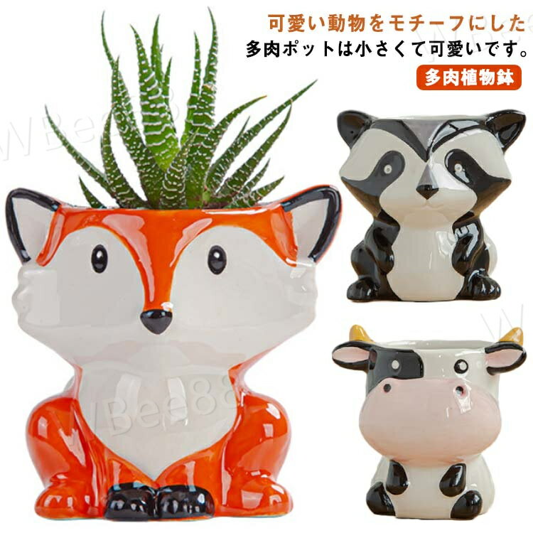 可愛い動物をモチーフにした多肉ポットは小さくて可愛いです。上質な陶磁器を採用して、表面が光沢なく、可愛くて丈夫です。底部に排水穴があり、通気性と排水性を高めます。家やオフィス、ガーデニング、デスク、窓辺の素敵なディスプレーとなります。 サイ...