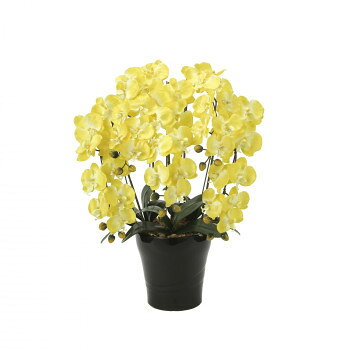 消臭・抗菌効果のある、光触媒「V-CAT」を使用し、お部屋のインテリアや各種お祝いのギフト(プレゼント)として、新築祝い・開店祝い・開業祝い・開院祝い・引越し祝い・母の日・敬老の日・誕生日など記念日の贈り物として人気があります。【造花だから...