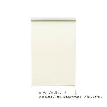 ホコリが付きにくく、光漏れも防ぐ見た目もすっきりとしたロールスクリーン。間仕切りや目隠しにも使用できます。ボックスタイプ・コードクリップ付きです。※画像で使用しているスクリーンは、実際の商品とサイズが異なります。商品サイズをお確かめの上、ご...