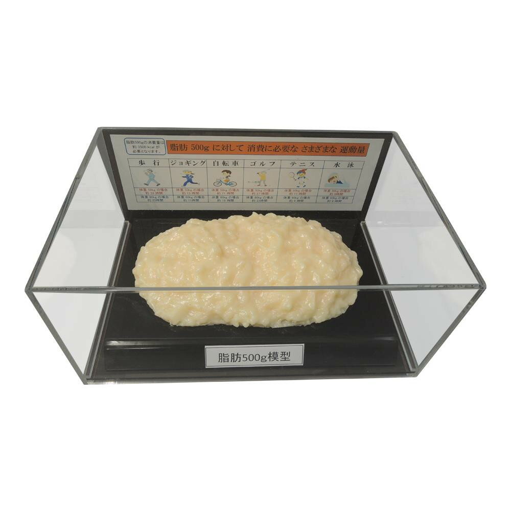 食べ過ぎ飲みすぎ防止に!注意喚起におすすめです。サイズ28×18.7×12.5cm個装サイズ：29×28×25cm重量個装重量：2200g素材・材質塩化ビニール、アクリル生産国日本脂肪の模型です。食べ過ぎ飲みすぎ防止に!注意喚起におすすめで...