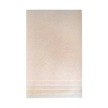 仮名作品におすすめの練習用料紙です。※モニターの設定などにより、実際の商品と色味や素材の見え方が異なる場合がございます。あらかじめご了承ください。サイズ個装サイズ：39×28×11cm重量個装重量：3500g仕様50枚/和紙砂子中字用生産国...