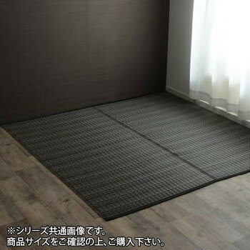 ポリプロピレン素材を細いパイプ状にして織り込んだ敷物で、強度が高くしっかりとしています。汚れても水洗いができるので、いつでも清潔にお使いいただけます。お子様の部屋に、アウトドアに、ペットのいるご家庭に最適な万能カーペットです。サイズ江戸間2...