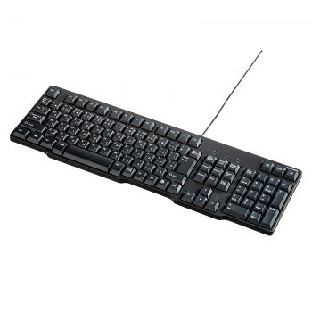 家庭用ゲーム機の接続に最適な3.5mロングケーブル採用のUSBキーボードです。印字耐久のあるレーザー印刷です。標準日本語配列のスタンダードキーボードです。しっかりとした深い押し心地のメンブレン方式です。インターネット・メールソフト・消音が一...