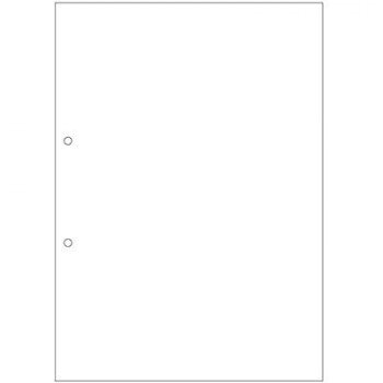 フォーマットを印刷して、重ねて手書きで記入すると複写されます。書類のサインなども重ねて記入すれば1回でOK。ファイル穴があいているので、保管にも便利です。申込書や契約書など、サインが必要な書類の印刷に。複写は、青色発色です。※この製品は、F...