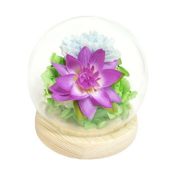 夏のお花を取り入れた仏花をガラスドームにアレンジしました。お仏壇に時節を感じて頂ける仏花です。ガラスドーム内にアレンジしていますので、保護性能も高くホコリを防いでお手入れの手間がかからないお供え花です。サイズφ10×H10.2cm個装サイズ...