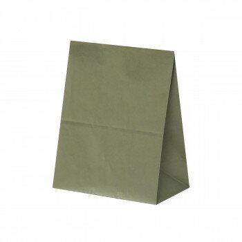 シンプルなカラーの紙袋です。雑貨の包装などさまざまなシーンで活躍すること間違いなし。サイズ幅180×マチ105×高さ225mm個装サイズ：28×23×20cm重量個装重量：1080g素材・材質紙質:半晒クラフト(60g)セット内容枚数:10...