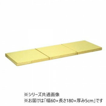 適度な硬さと反発力を持った三つ折り式のレザー製ポータブルマットです。屋内での出張施術を目的とした長時間の移動にも便利な軽量タイプです。移動時のキズや汚れをシャットアウトする専用のキャリーバッグ付きです。サイズ幅60×長さ180×厚み5cm、...