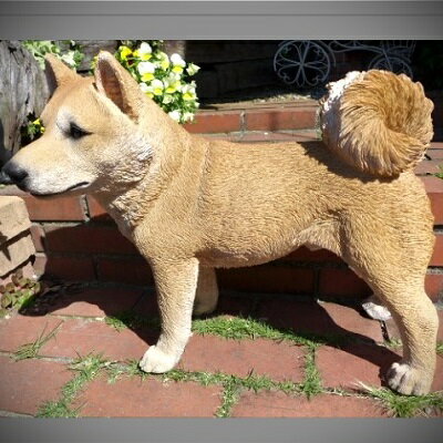 商品詳細 商品説明 犬の置物　大型柴犬でございます。 本物みたいな可愛いわんちゃんです。 今にも動き出しそうです。 同梱不可商品です。小さいものでしたら同梱可能ですので、ご相談くださいませ。 サイズ 約W48×D24×H41cm 素材 ポリ...