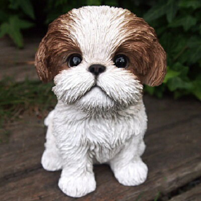 商品詳細 商品説明 シーズーの犬の置物です。 リアルで可愛いわんちゃんです。 ガーデニングや室内のアクセントに、いかがですか。 サイズ 約W15.5×D11.5×H15cm 素材 ポリレジン商品の色についてお客様のモニター等により、見た色と...