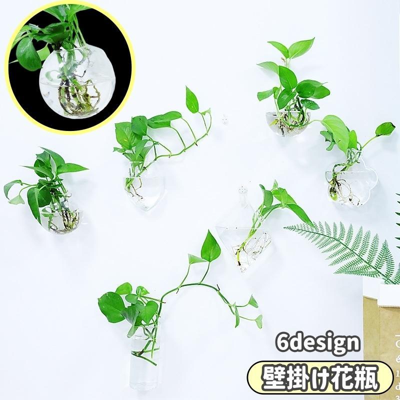 水耕栽培用の壁掛け花瓶です。植物の成長が楽しくなります◎【サイズについて】画像をご参照ください。【素材について】ガラス【カラーについて】生産ロットにより柄の出方や色の濃淡が異なる場合がございます。お使いのモニターや撮影時の光の加減などにより...