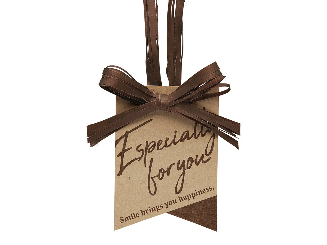 1購入あたりの内容量 ： 1束［規格］42×約270mm［素材］パルプ・ポリプロピレン［機能・特徴］メッセージ入りのタグ。コードを結ぶだけでかわいく仕上がります。［外寸］42×約270mm