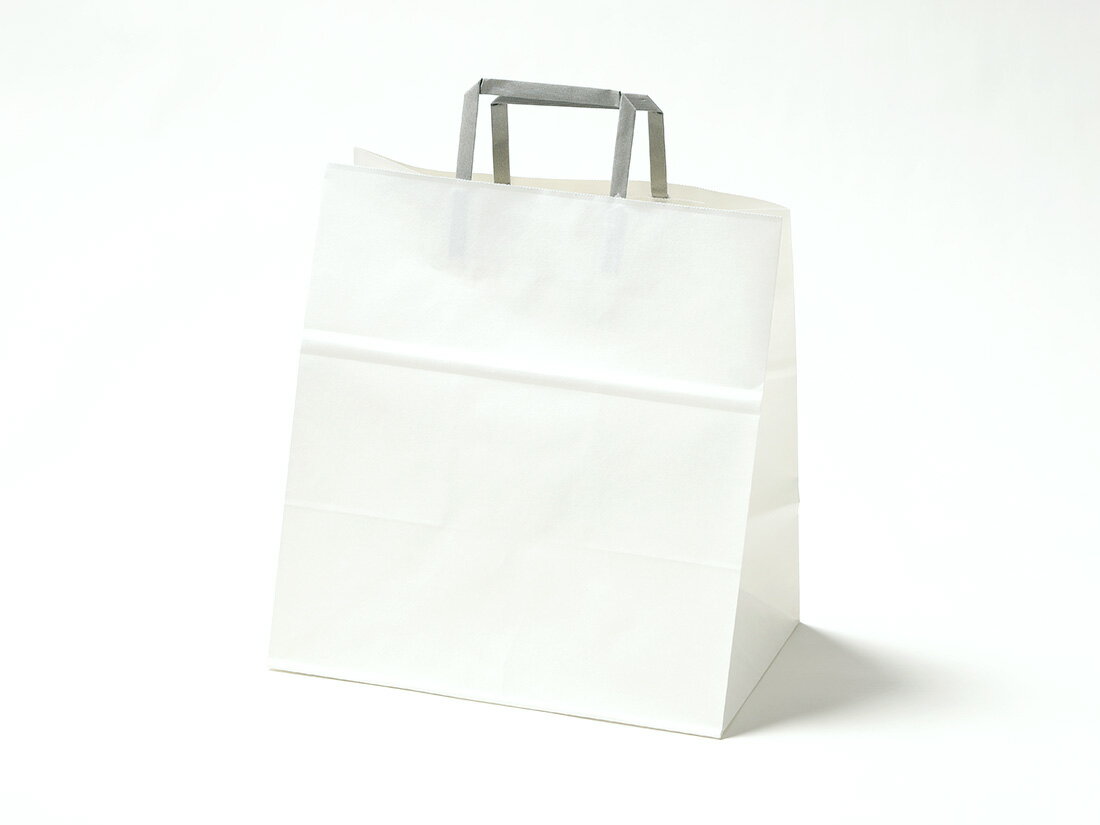 こちらは、少量でお求めの方向けの【少量販売】商品です。多くお求めの方は同一商品の通常販売コードよりお求めいただくほうがお買い得となっておりますのでご確認ください。1購入あたりの内容量 ：1枚［規格］300×210×H320mm　　［色］マッ...