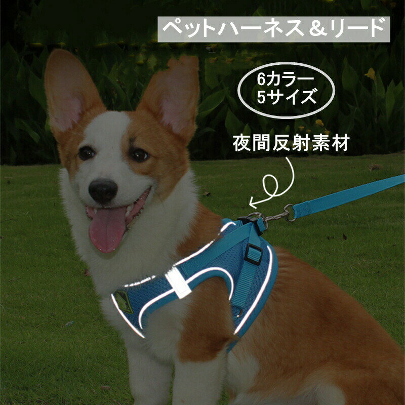 ○サイズ:XSサイズ/Sサイズ/Mサイズ/Lサイズ/XLサイズ○素材:メッシュ生地○カラー:ブラック、ブルー、レッド、ピンク、ディープブルー、オレンジ○商品紹介:♪夜間反射テープ付きなので、夜のペットのお散歩も安心です。♪サイズ調整が可能な...